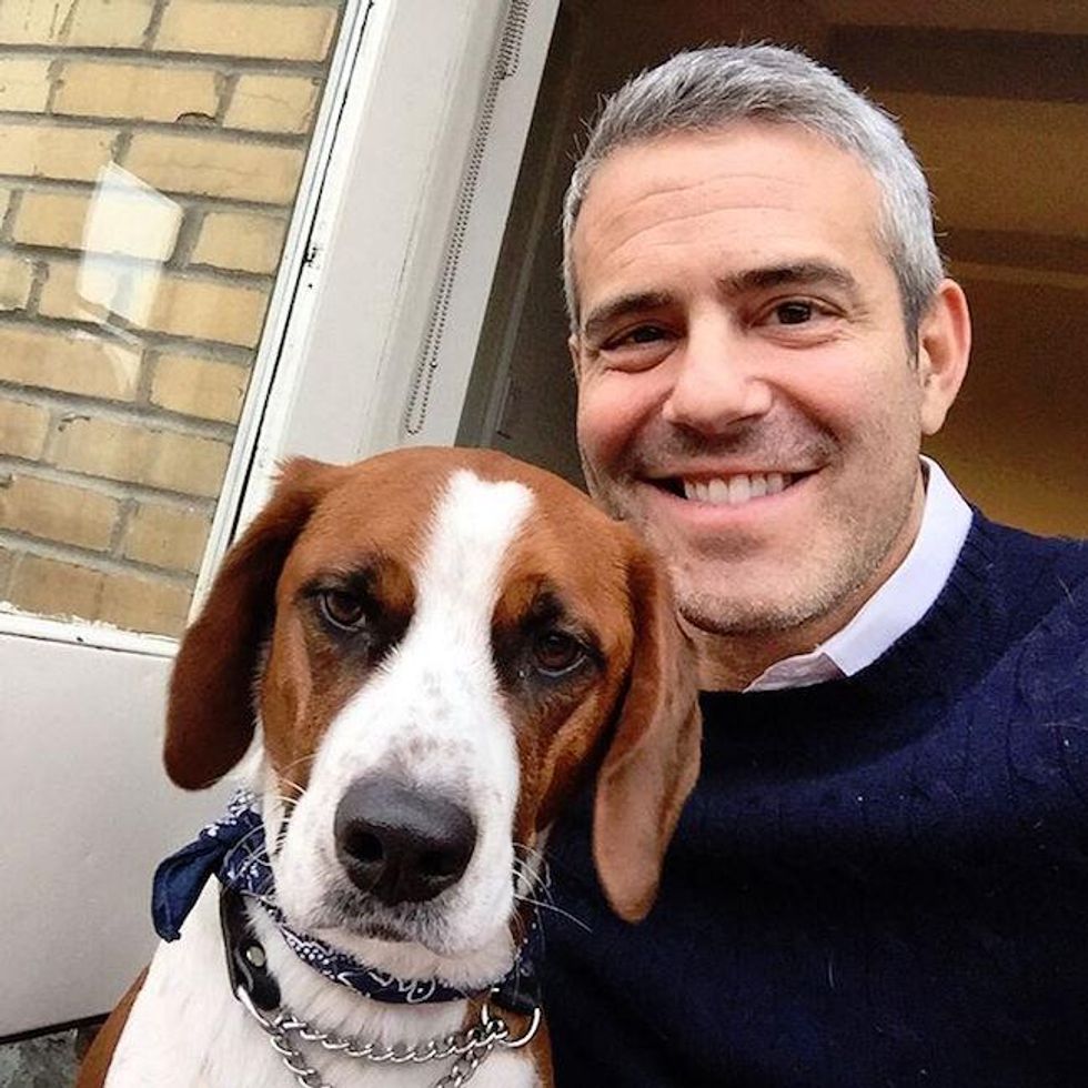 50 Cute Guys with Puppies