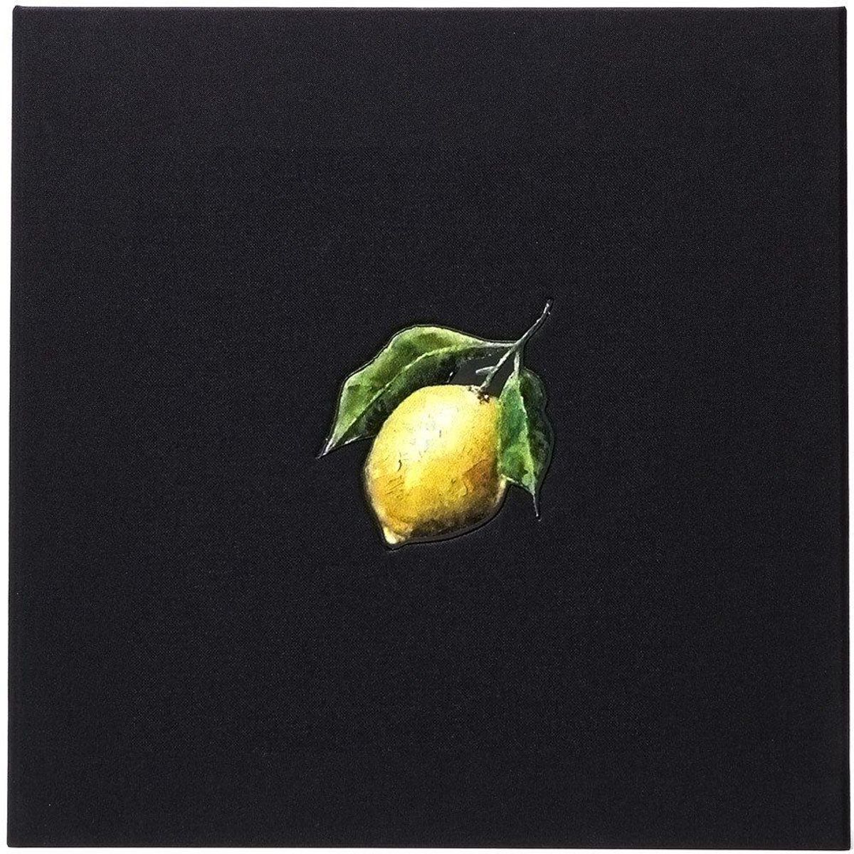 Beyoncé to Release 'Lemonade' on Vinyl