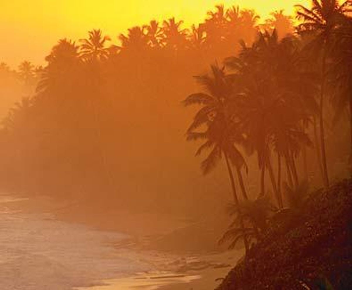 Trouble in Paradise The Complete Story