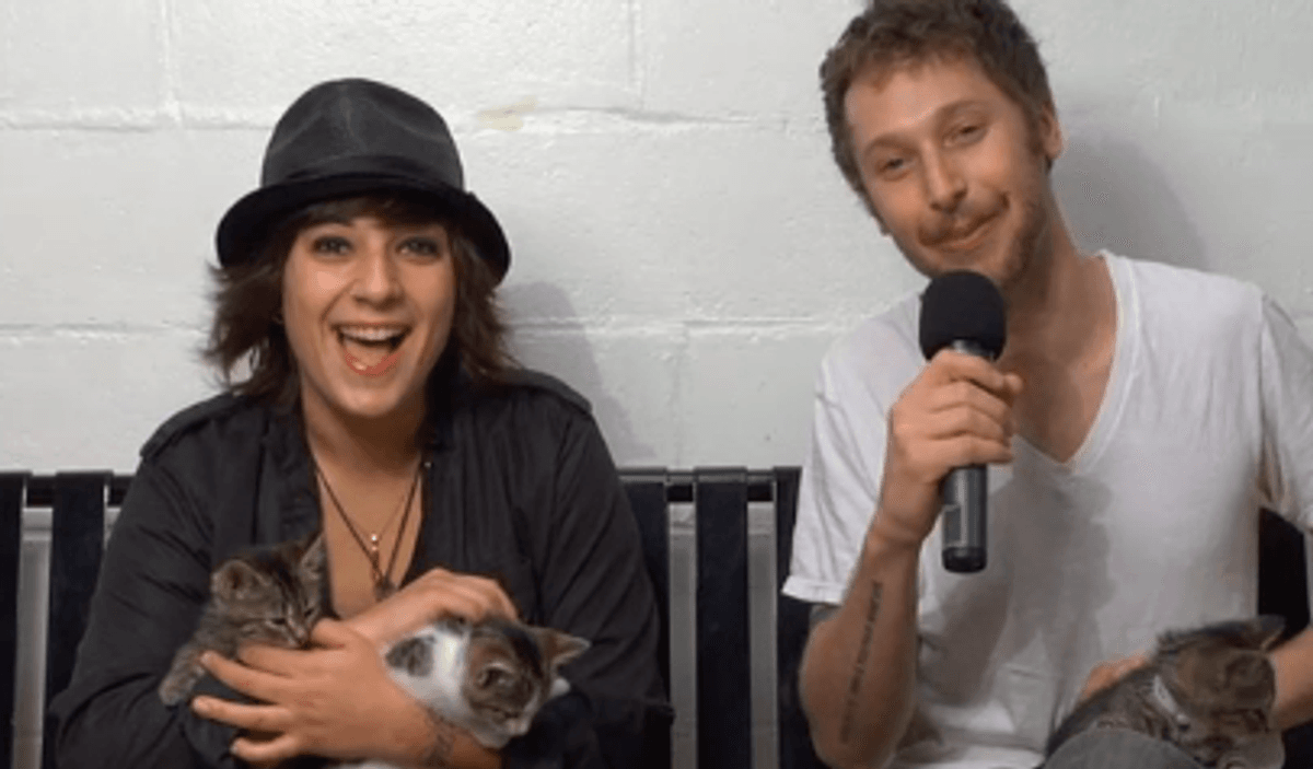 Homotional Rescue: CATS ROCK