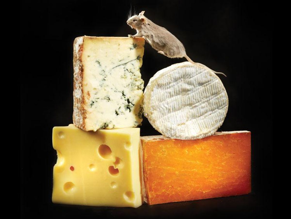 Sweet Dreams Are Made of Cheese