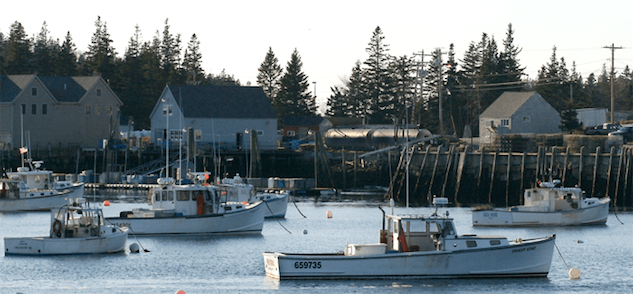 Island Life: Vinalhaven