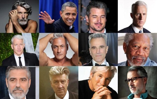 25 Silver Foxes