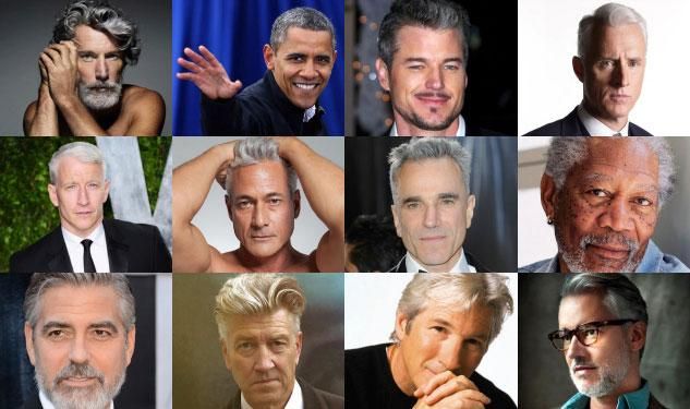 25 Silver Foxes