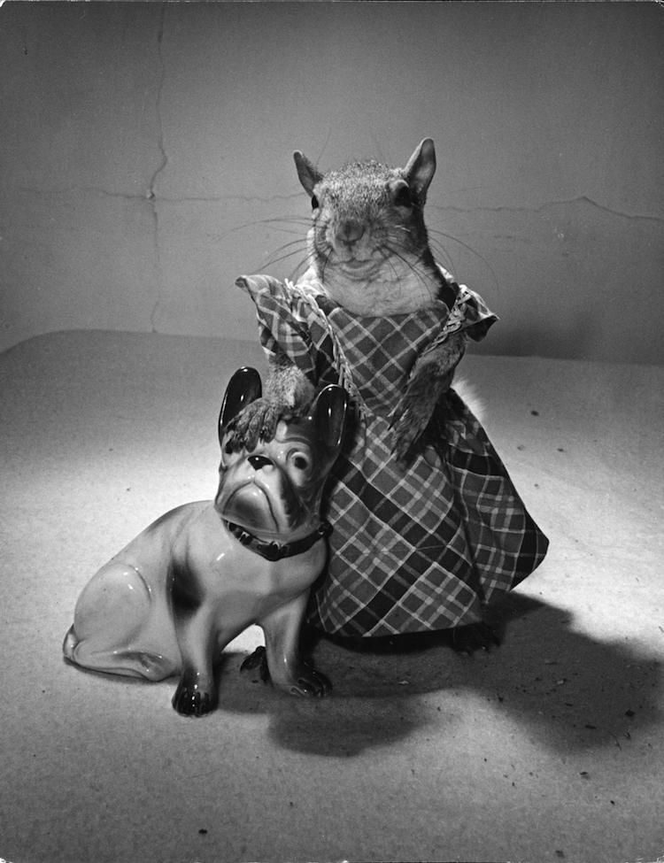 Need To Know: Photographer Nina Leen