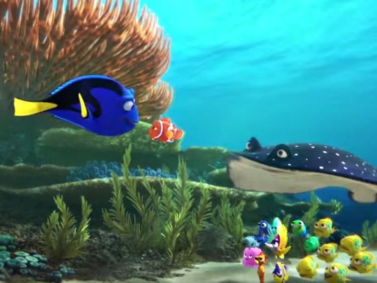 Watch: Finding Dory Trailer