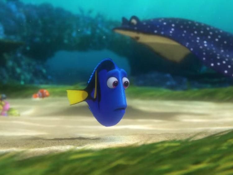 WATCH: The Latest ‘Finding Dory’ Trailer