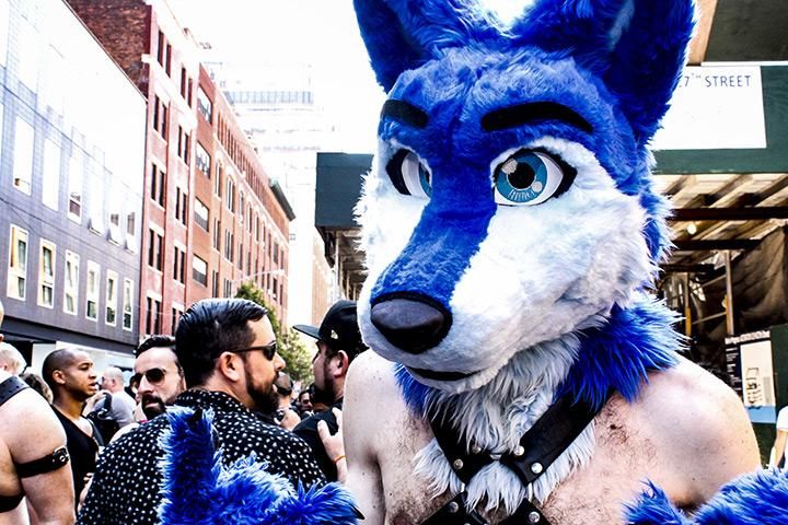 Harness Party: Dads, Lads, Leather, Fur, and Loads of Fun