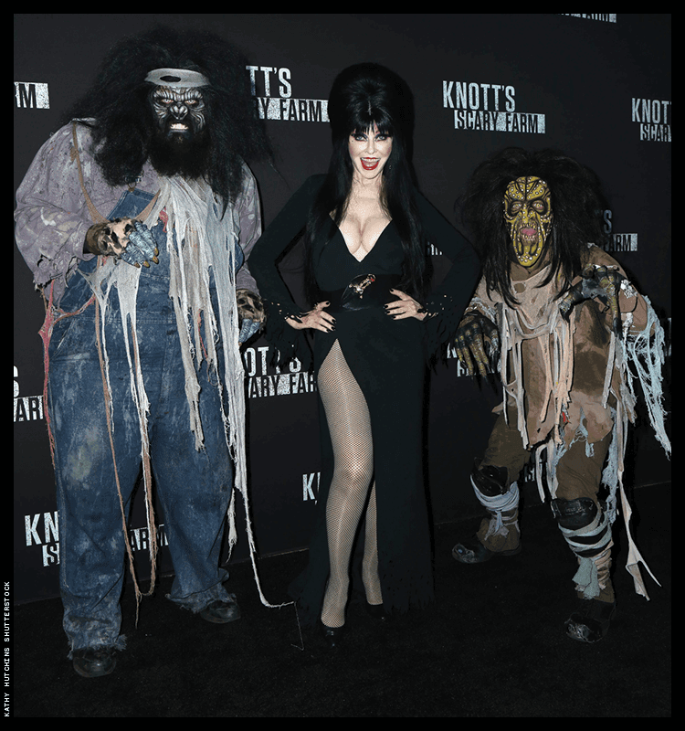 20 Boo-tiful Photos of Elvira, Undisputed Queer Queen of Spooky, Over ...