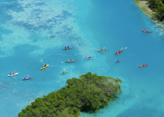 Get High and Go Down On A Key West Adventure